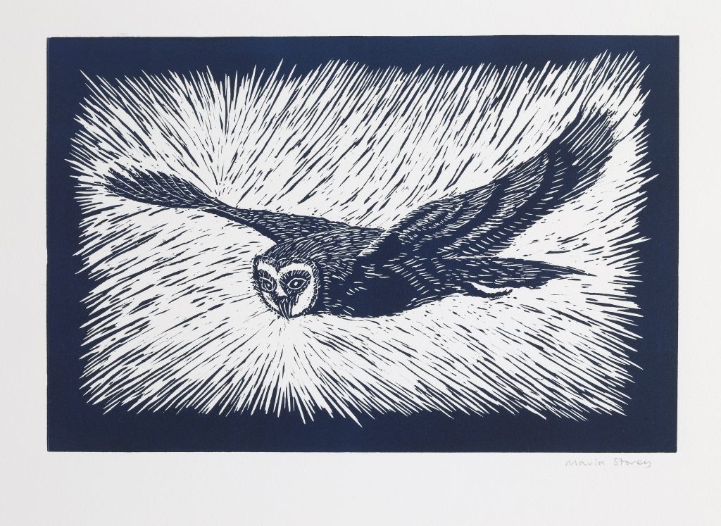 About - Maria Storey